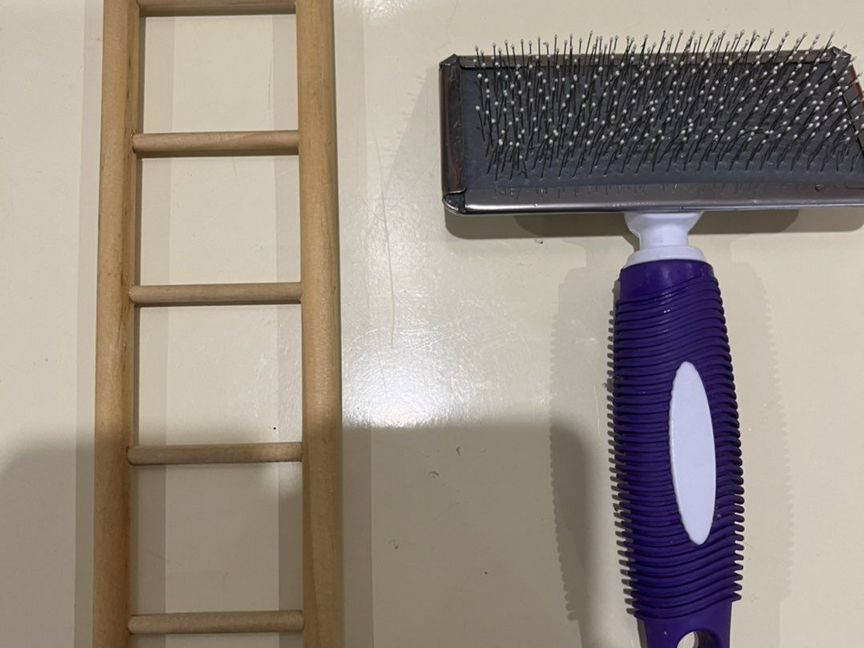 Лесенка в клетку для птиц и грызунов и пуходерка