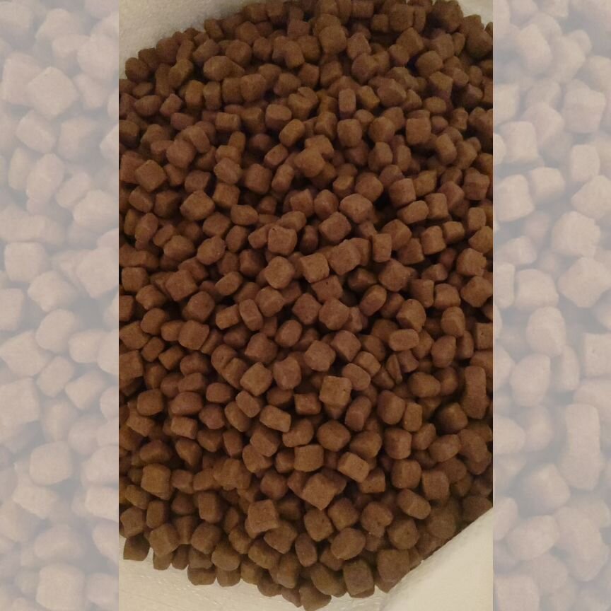 Сухой корм для кошек