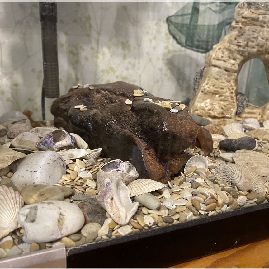 Аквариум с аксессуарами