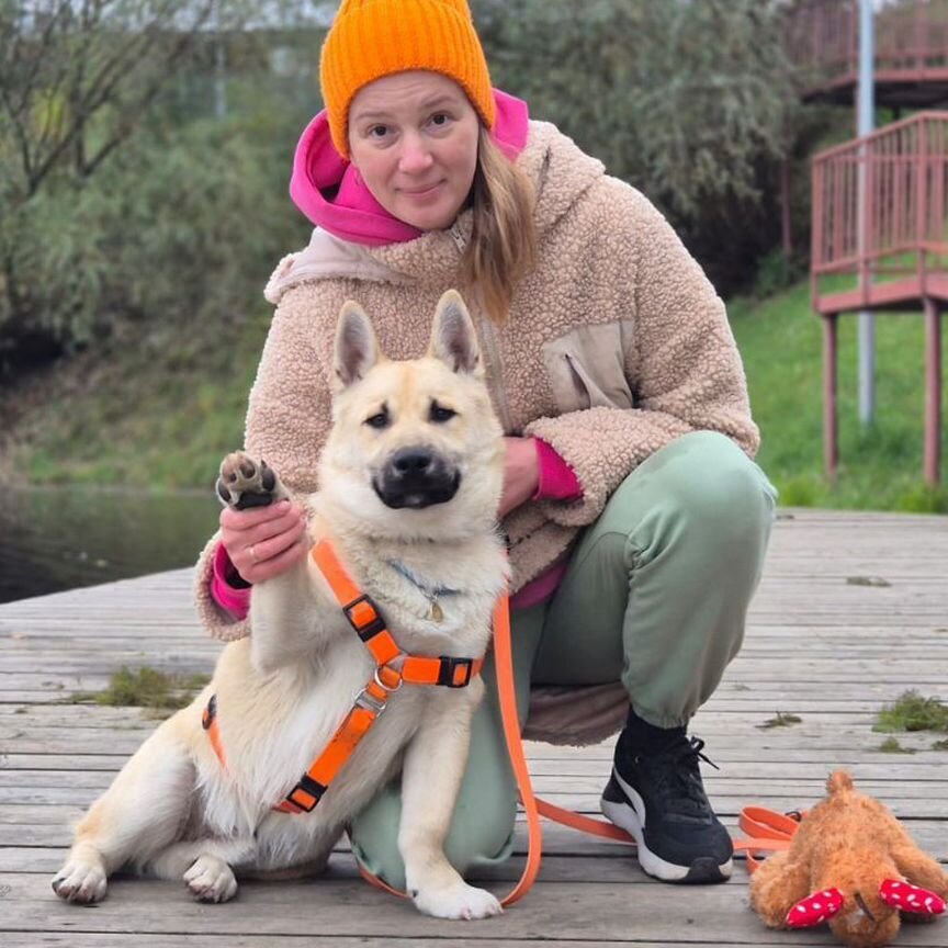 Щенок в добрые руки