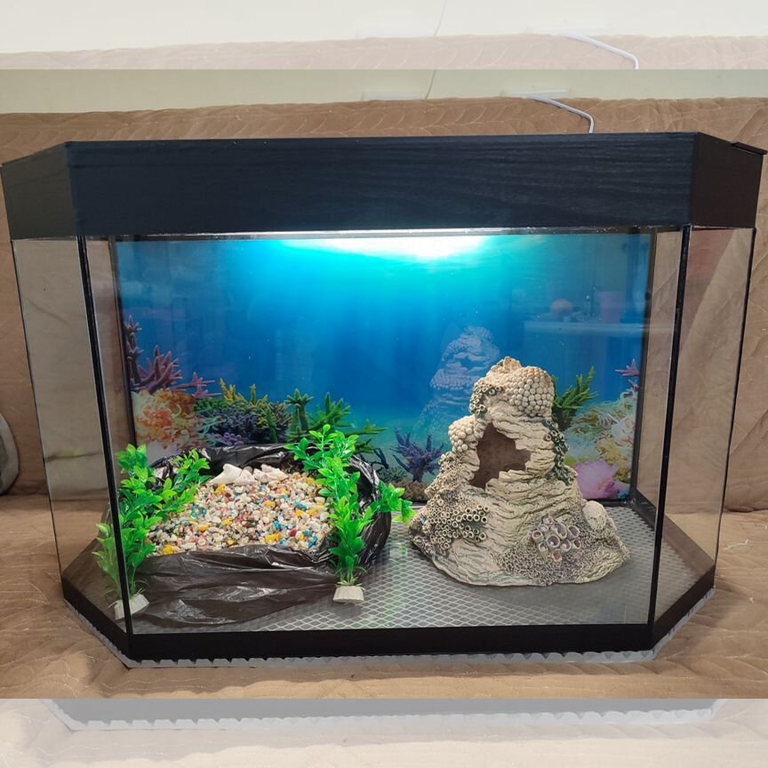 Аквариум панорамный