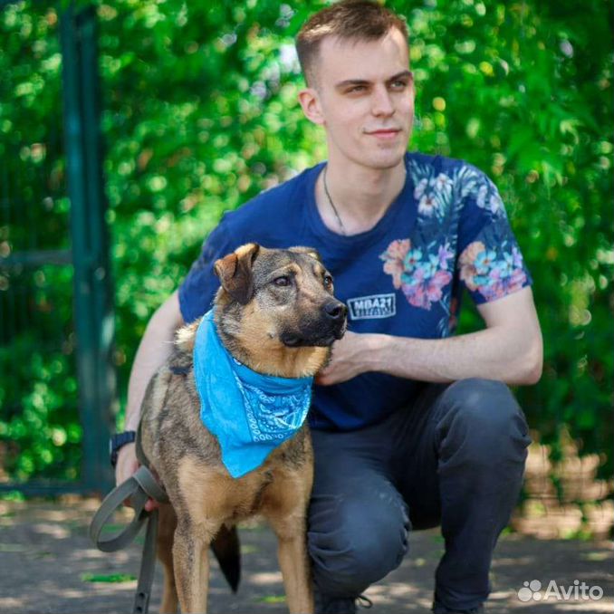 Небольшой Лукас хочет стать домашним
