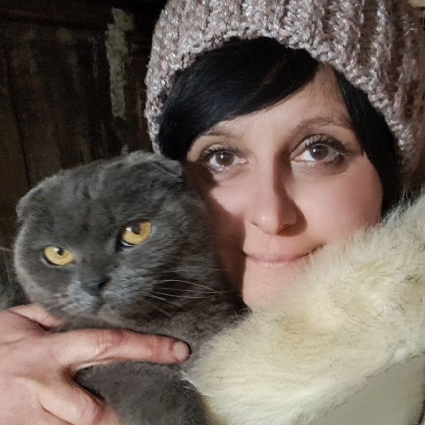 Отдам в добрые руки кошечку 1 год