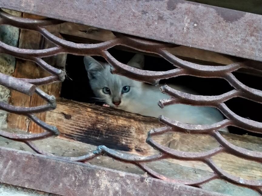 Малыши ждут помощи