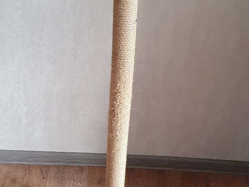 Когтеточка