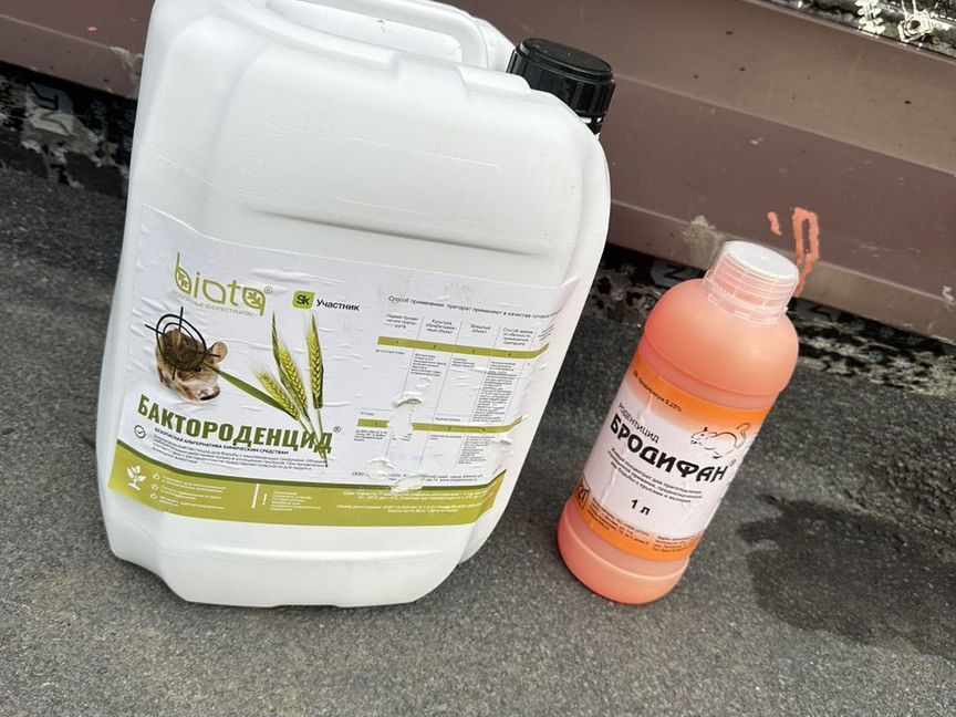 Бактокумарин отрава для грызунов