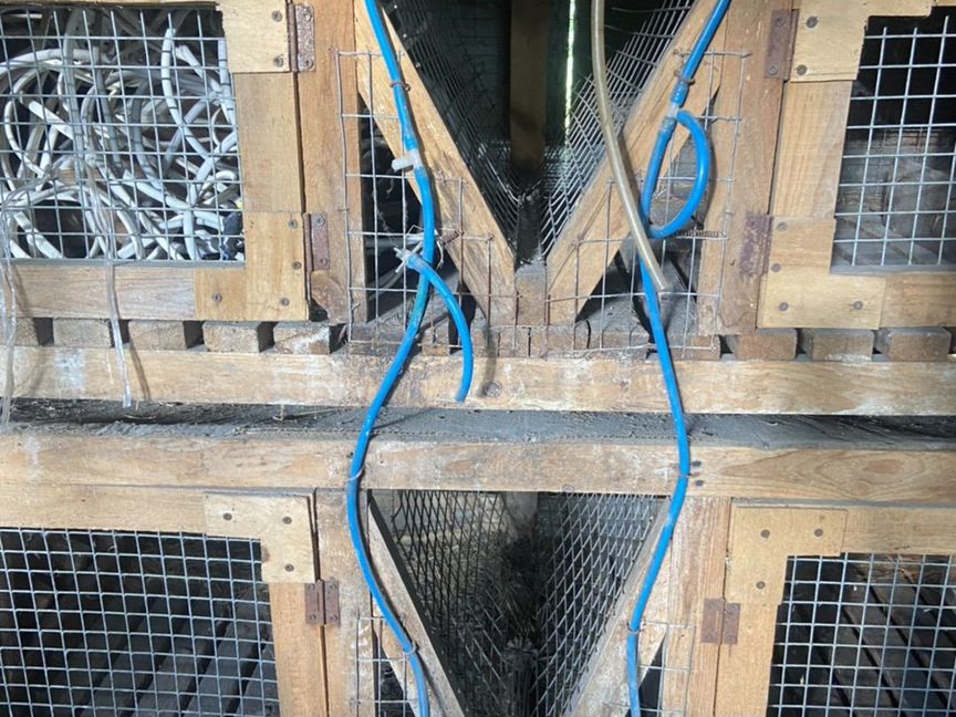 Клетки для кроликов