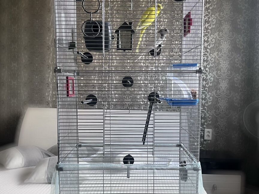 Волнистые попугаи с клеткой