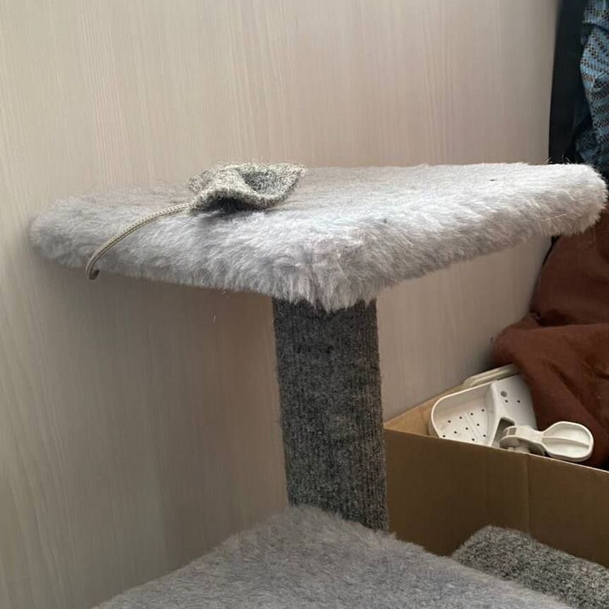 Игрушка для котят бронь