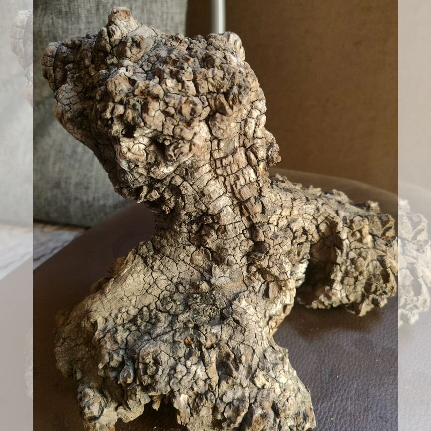 Коряга карагач для террариума