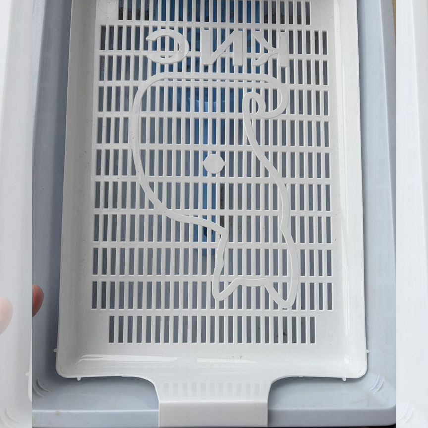 Лоток для кошек большой с бортиками