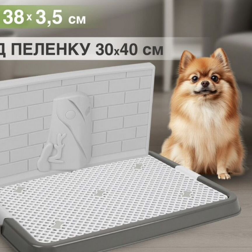 Лоток для собак со стенкой