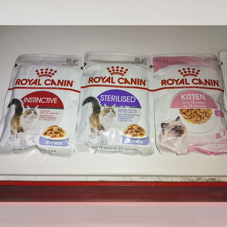 Royal canin влажный корм для кошек