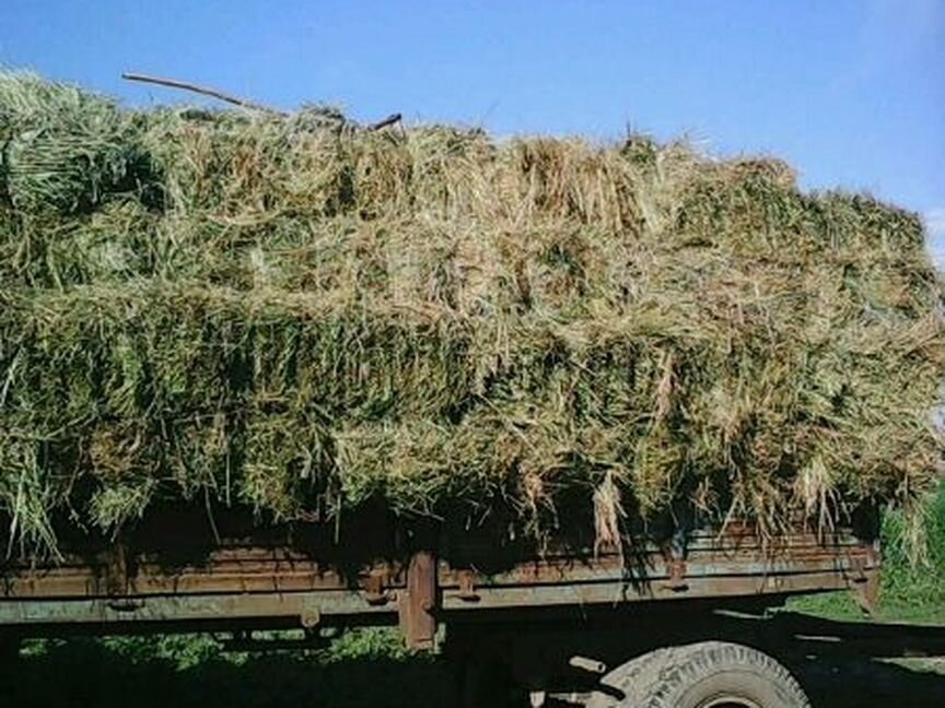 Сено в тюках