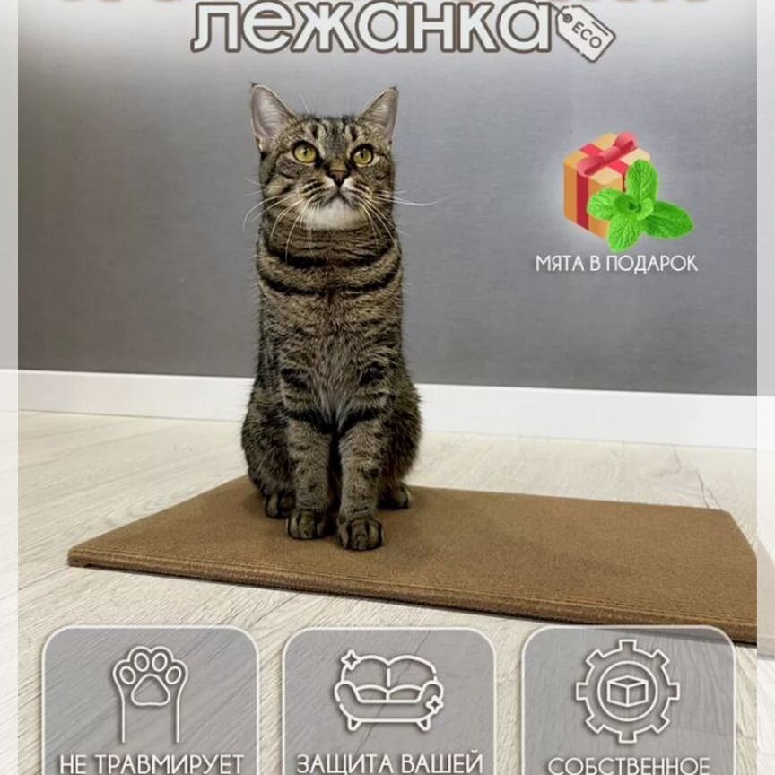 Новая когтеточка -лежанка кошачья мята