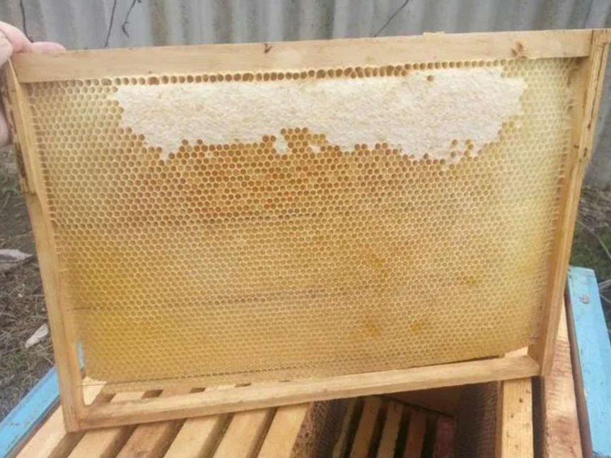 Рамки с вощиной