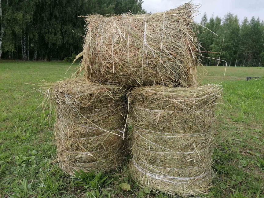 Сено в минирулонах