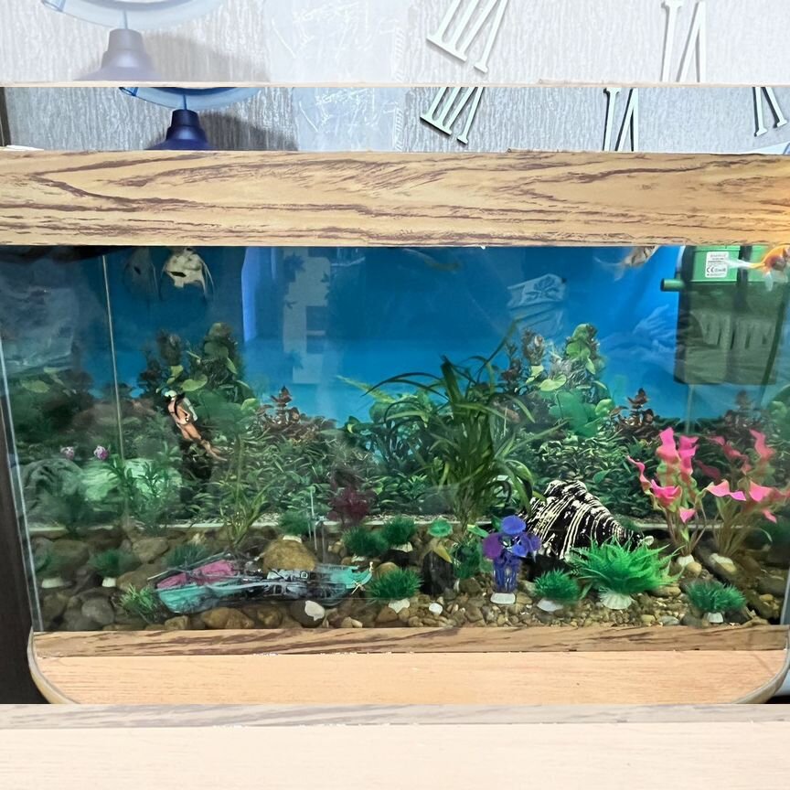 Аквариум с рыбками