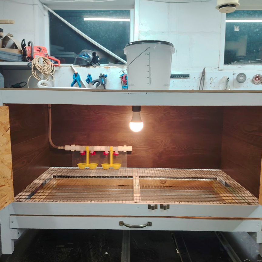 Брудер для цыплят 100х50 см