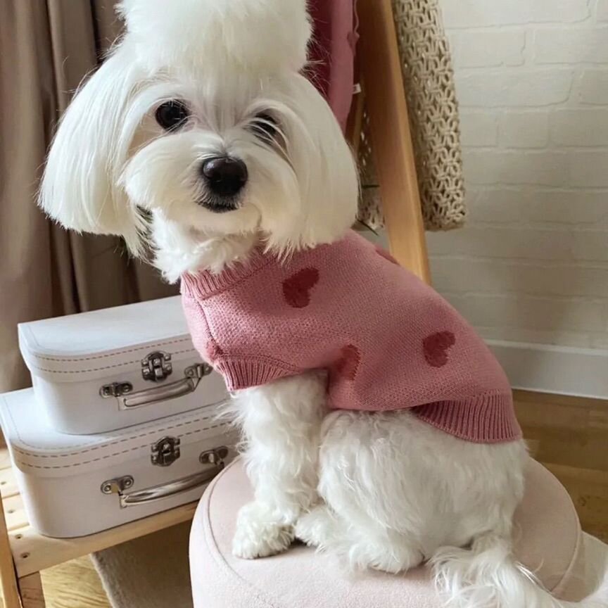 Свитер для собак