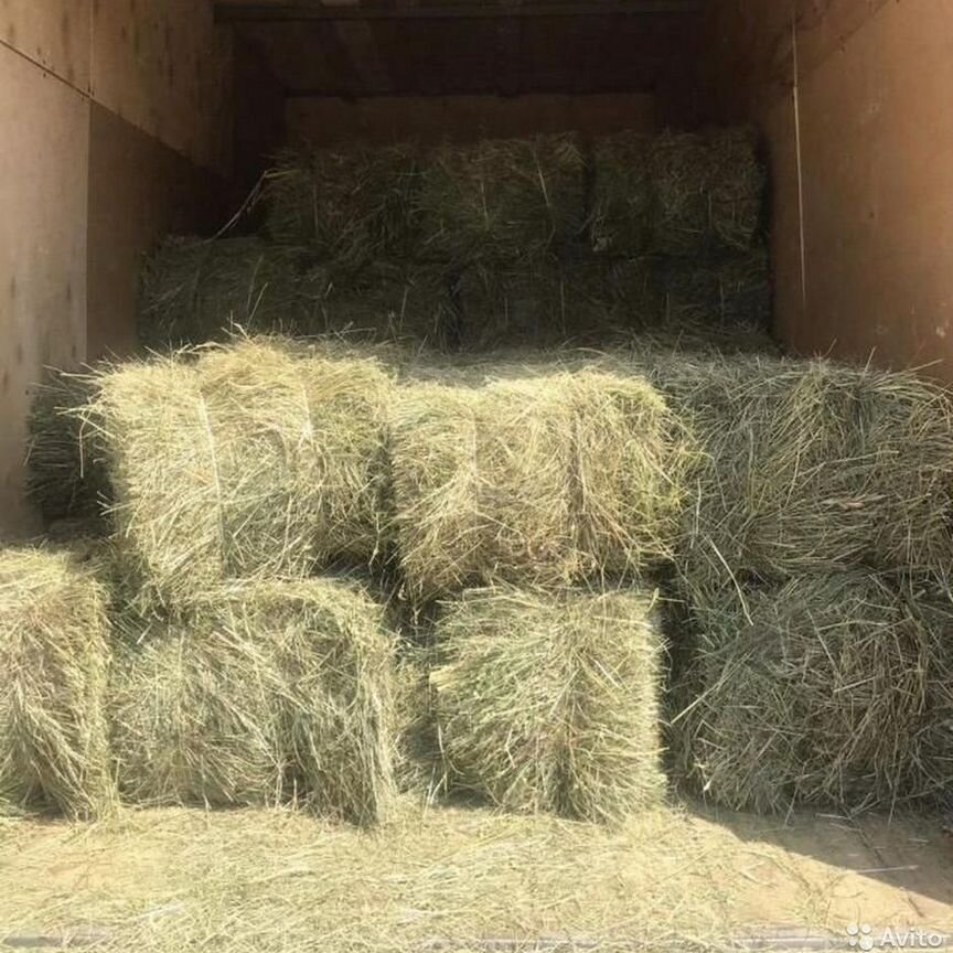 Сено в брикетах