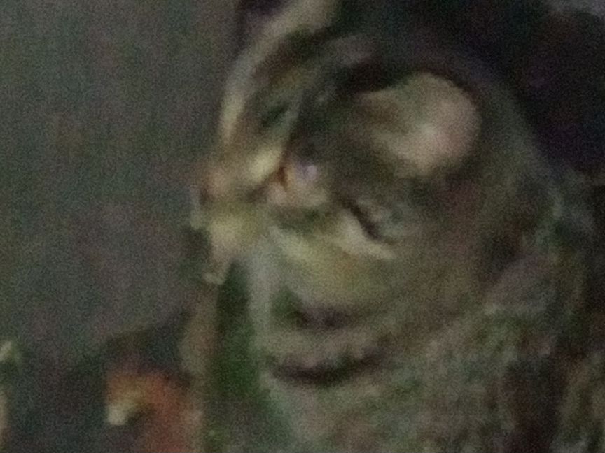 Кошечка