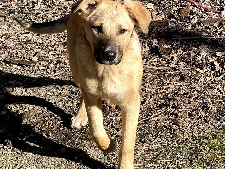 Мальчик ищет дом