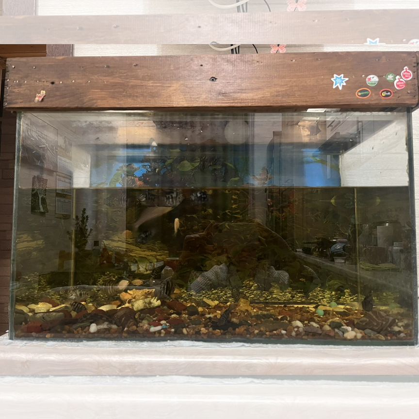 Продам Аквариум