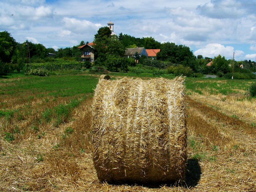 Продам сено в рулонах