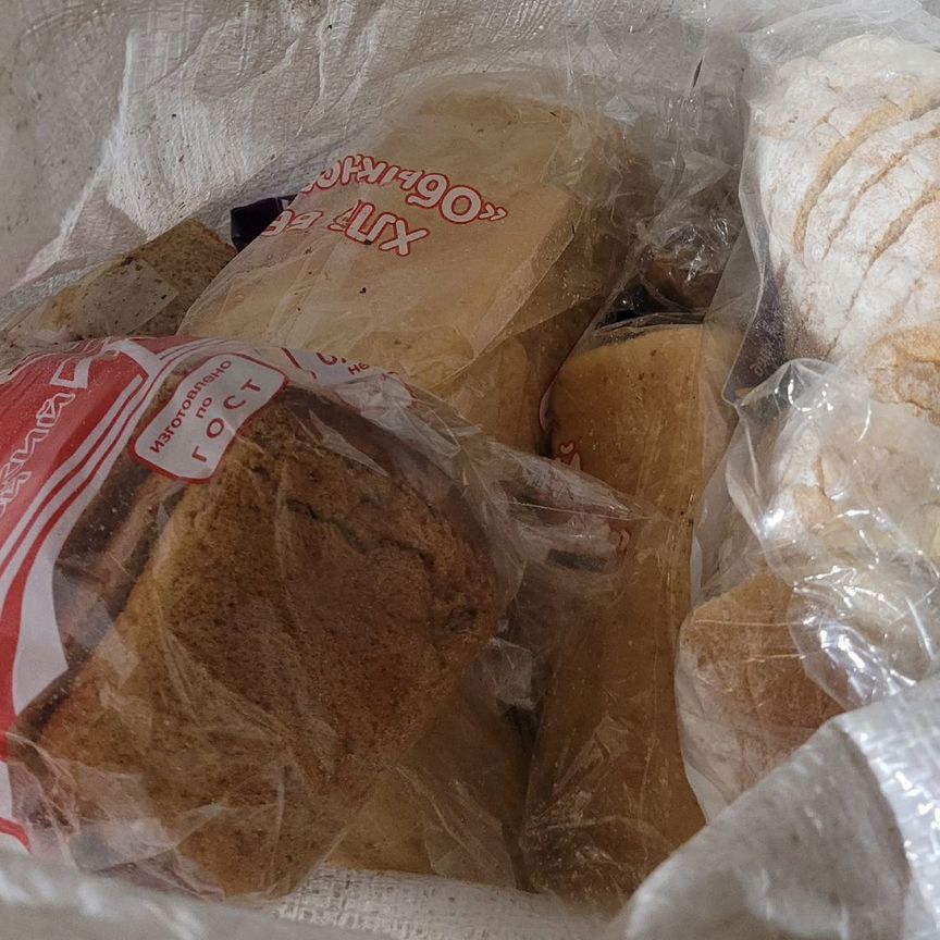 Хлеб на корм животным