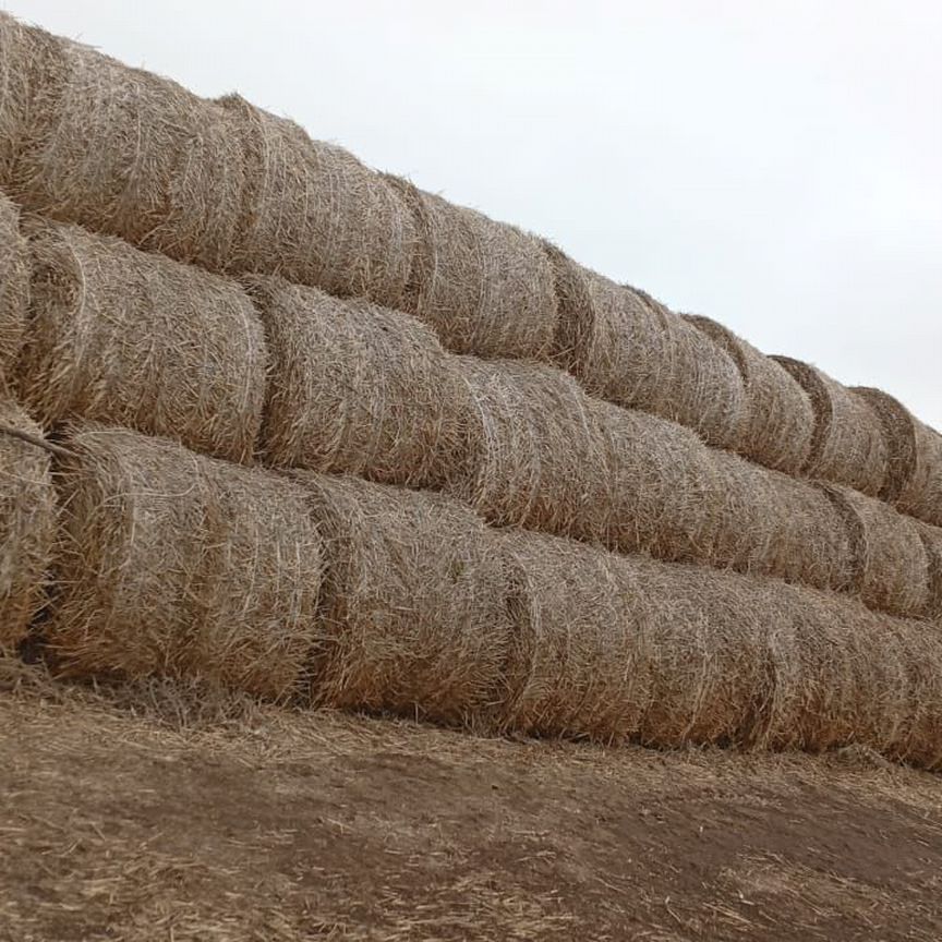 Солома в рулонах