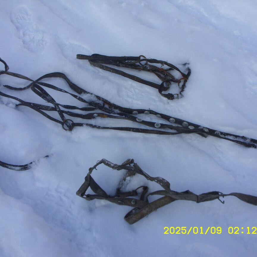 Конская упряжка. Старинная, старая