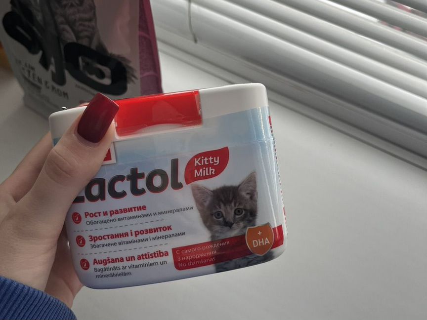 Сухое молоко для котят