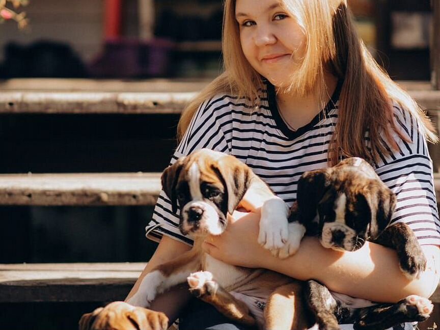 Боксерятки