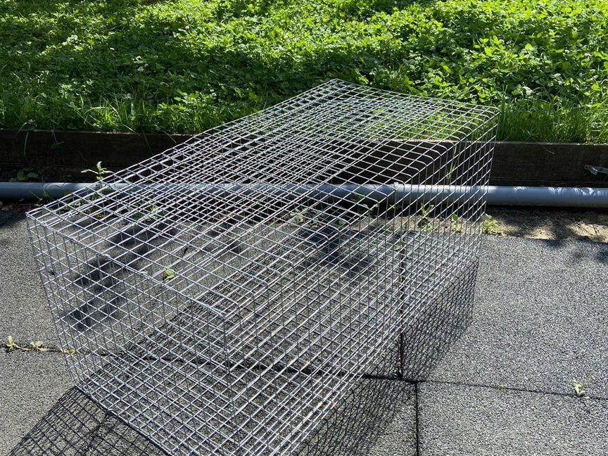 Клетка для транспортировки кур