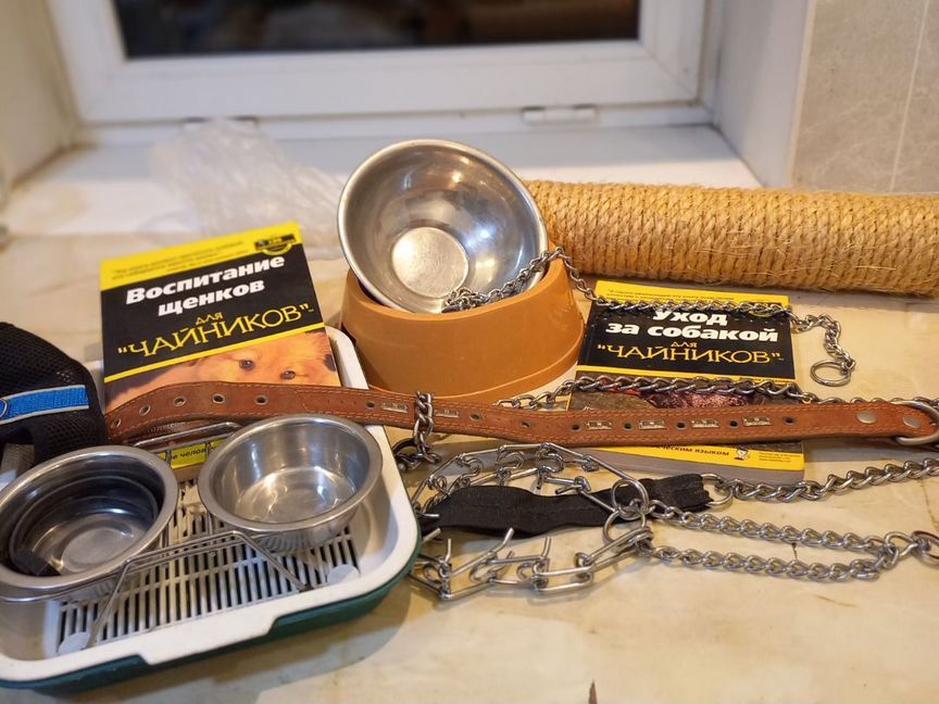 Всё для котёнка,щенка и большой собаки