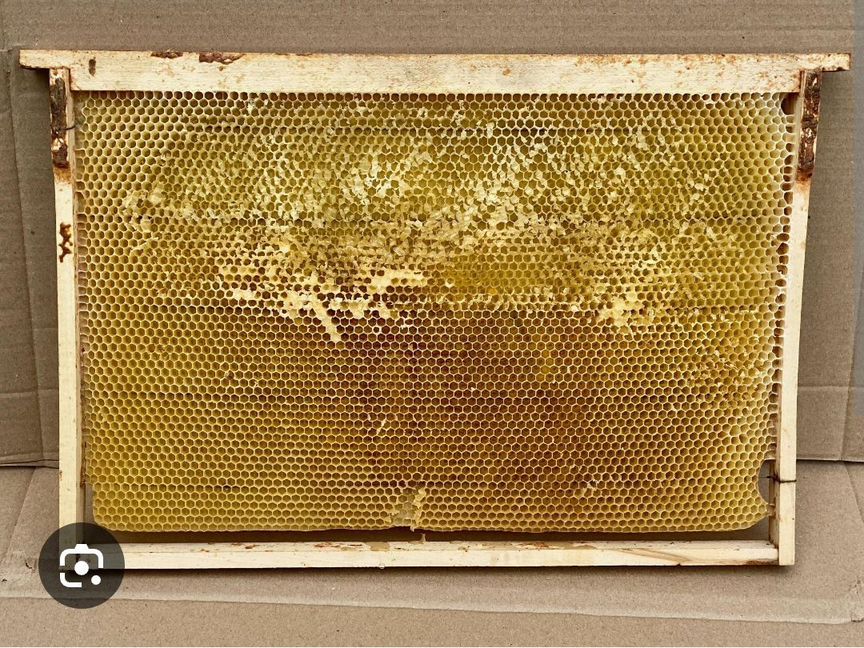 Сушь дадан и рут для пчёл продам