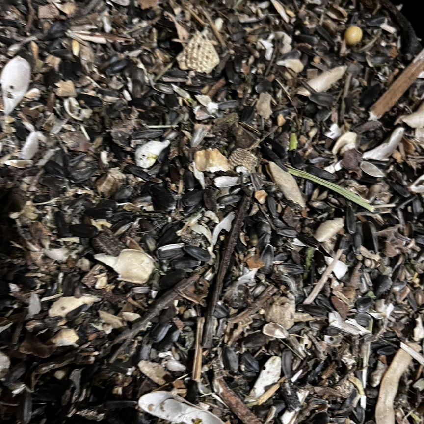 Отходы семечки