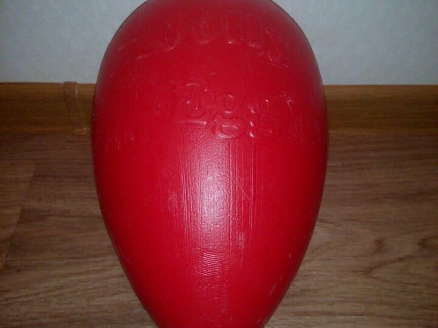 Продам яйцо