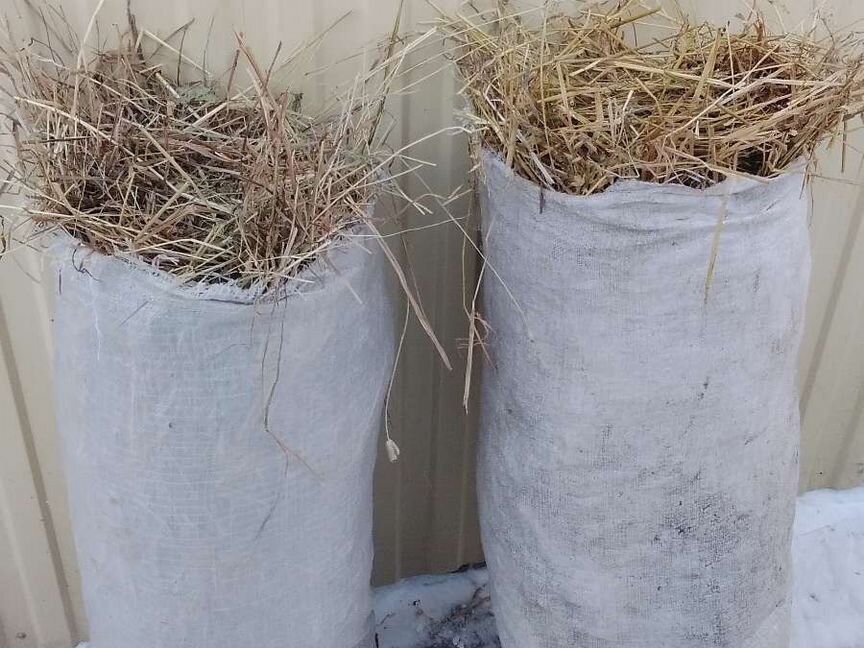 Сено - солома