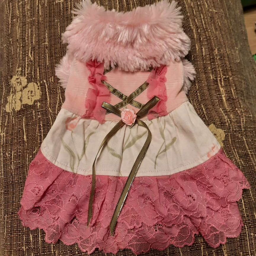 Платья разные для собак