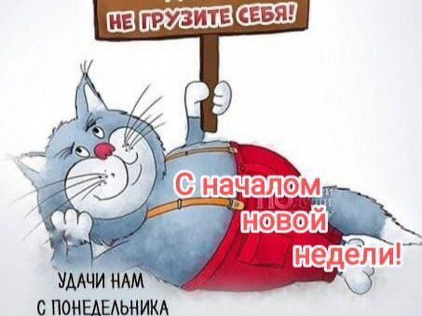 Подсадные утки и индоутки продам