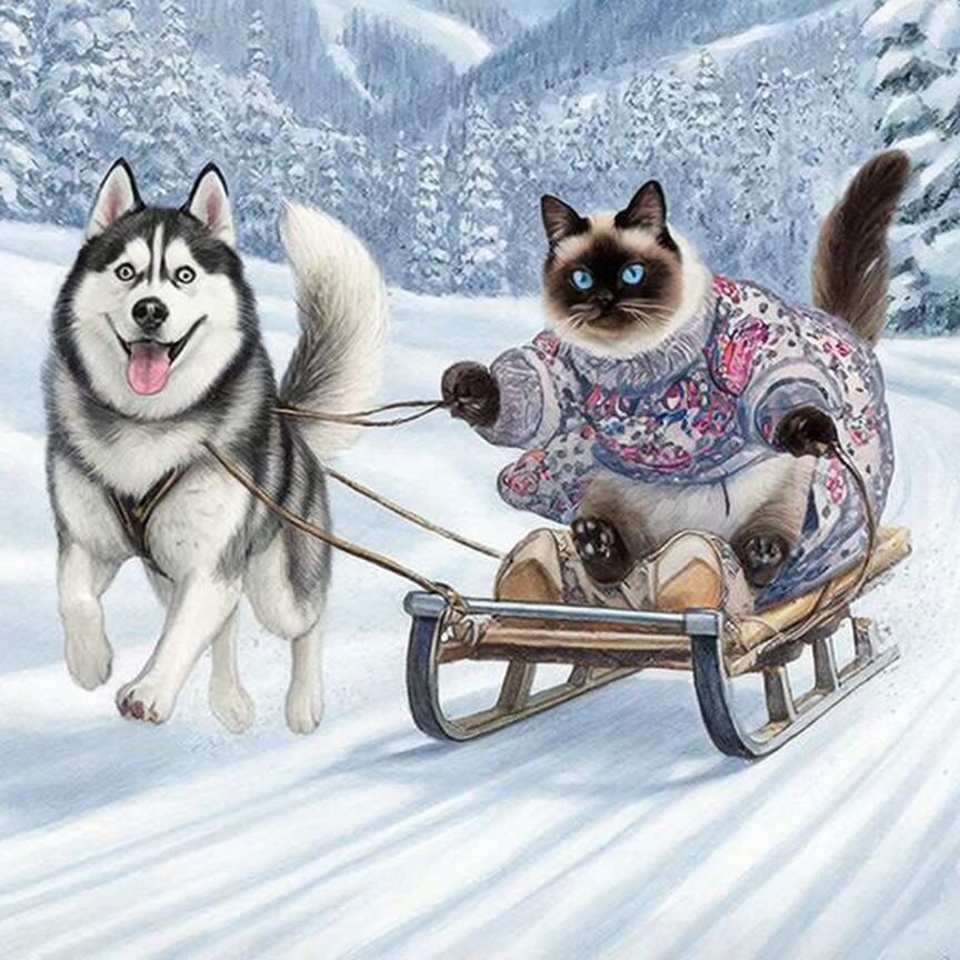 Мясо и субпродукты для собак