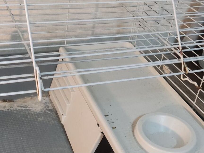 Большая клетка и всё для морской свинки/кролика