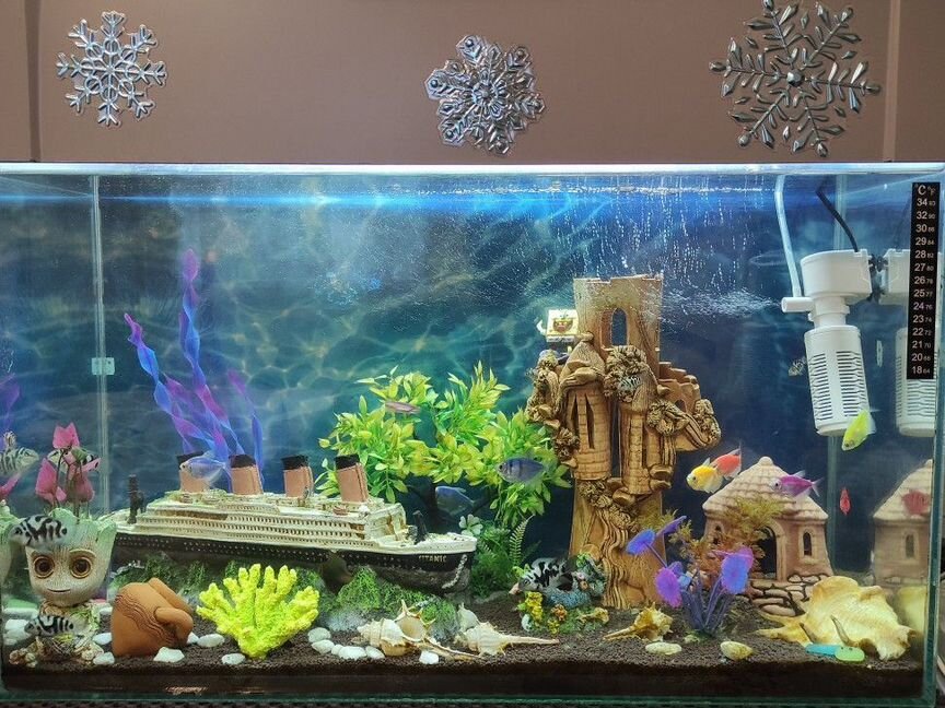 Аквариум на 80 литров