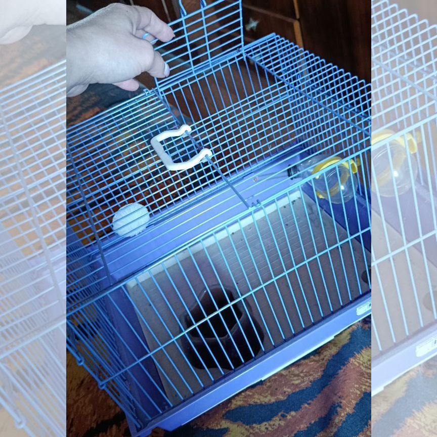 Клетка для грызунов бу