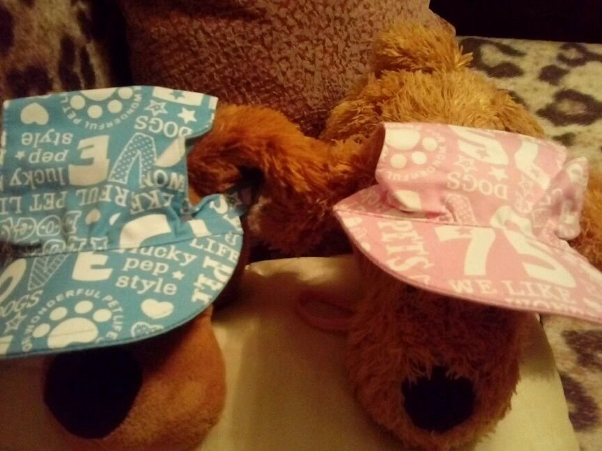 Кепки для собак до 11 кг