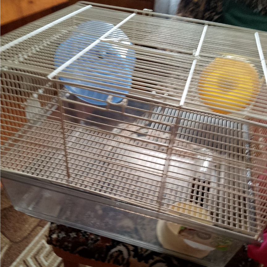 Клетка для хомяка