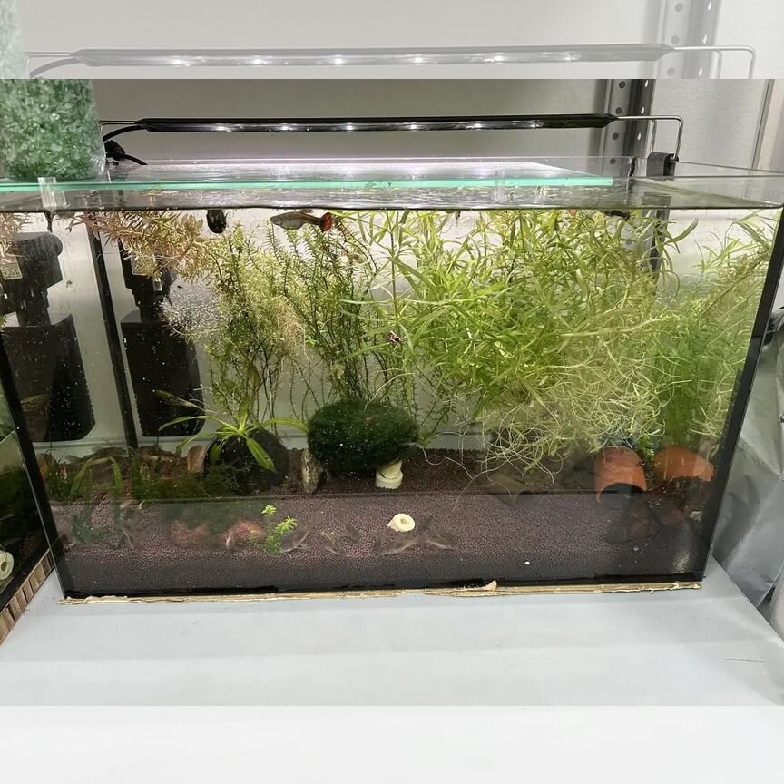 Аквариум 40 литров