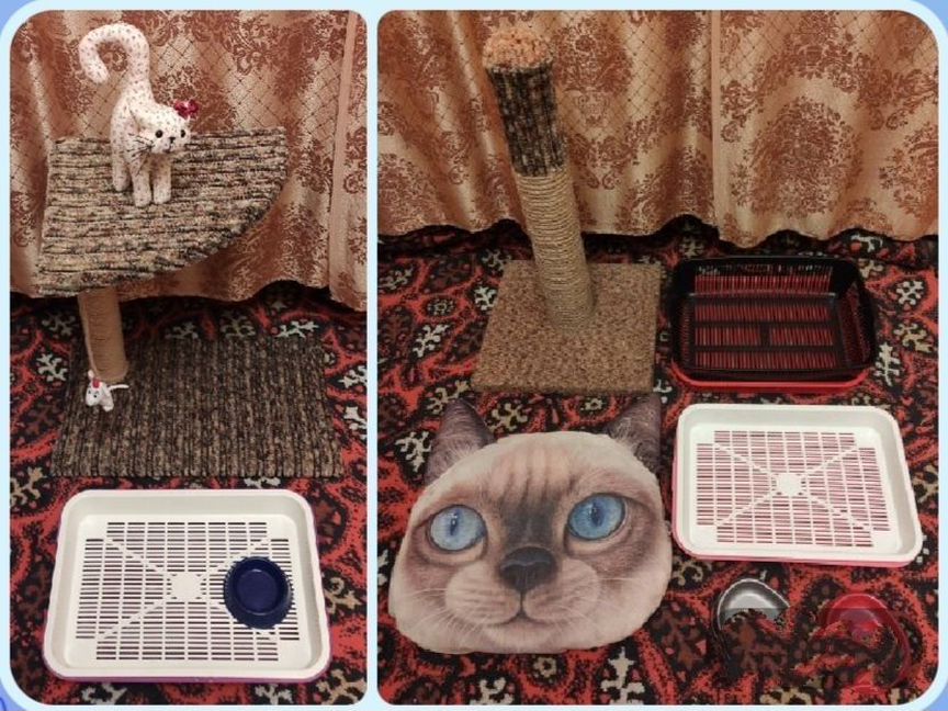 Когтедерки+лежанка+лотки для кошечек